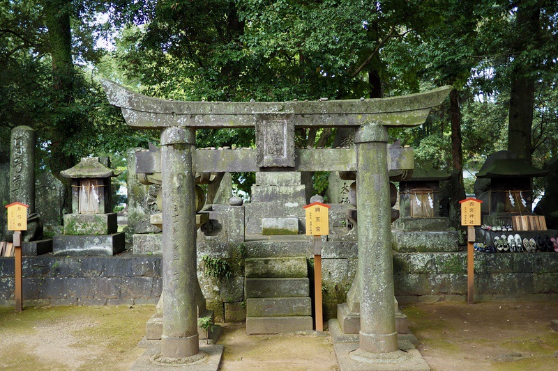 大宮神社：常世ニ降ル花 土雲歌譚篇 19 – 偲フ花